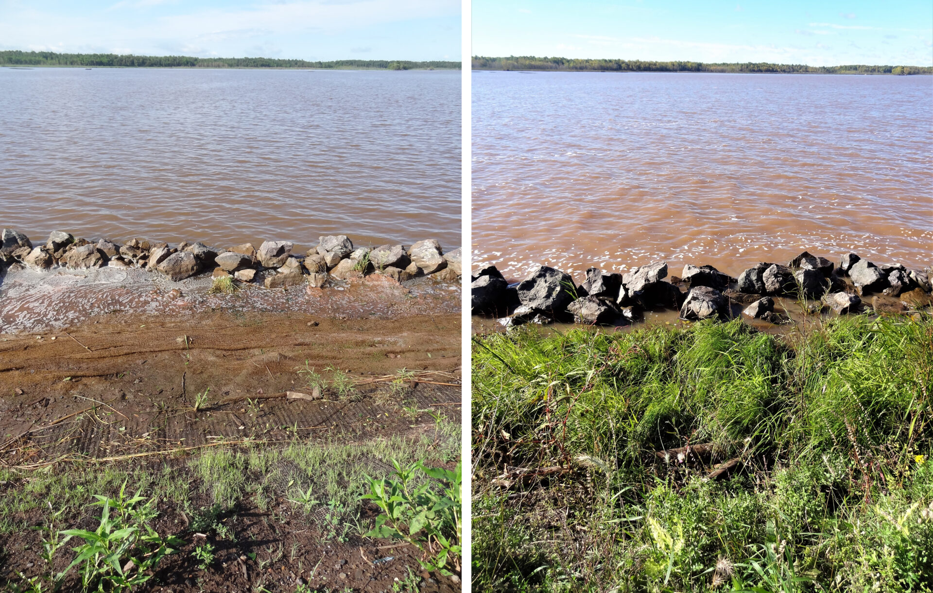 Designing Living Shorelines for Northern Climes | Wisconsin Sea Grant