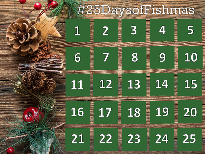 Catch the Fishmas spirit! | Wisconsin Sea Grant