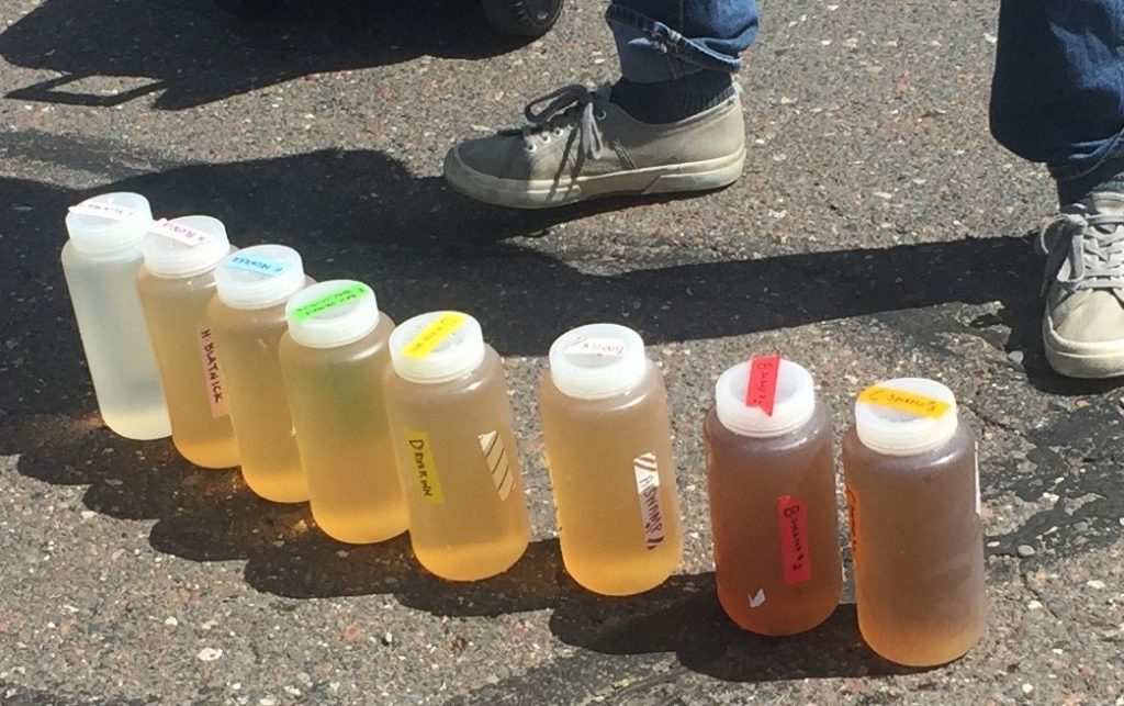 Tea and sunlight: Exploring how nature breaks down pollution in the St ...