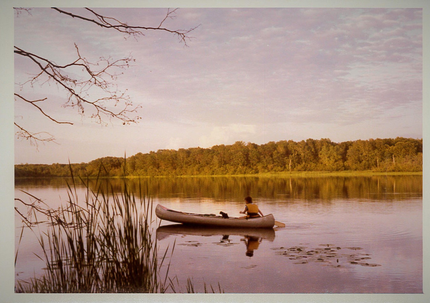 The Cat Who Liked to Swim | Wisconsin Sea Grant