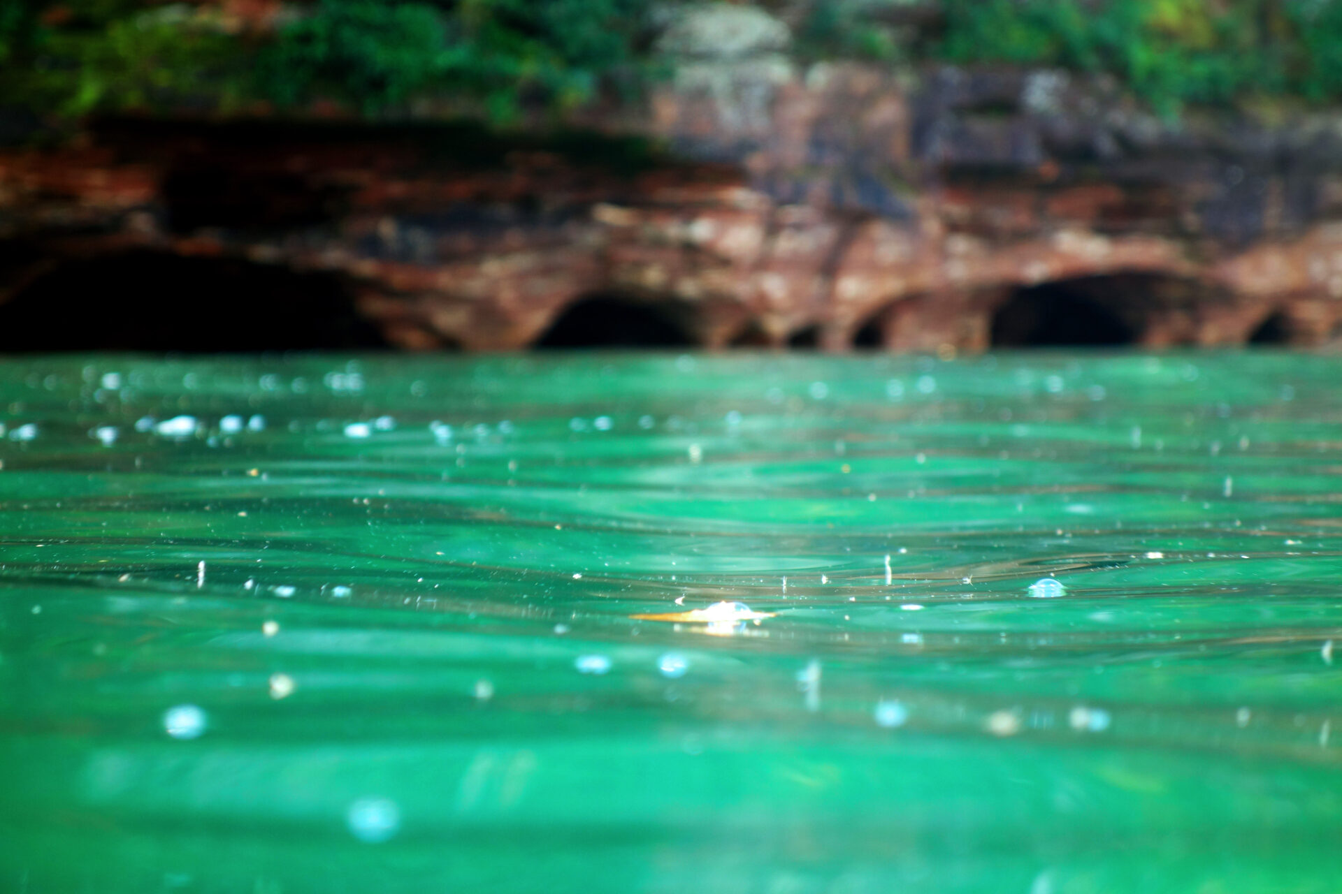 Intergalactic Treasure Sadaf Nasir | Wisconsin Sea Grant