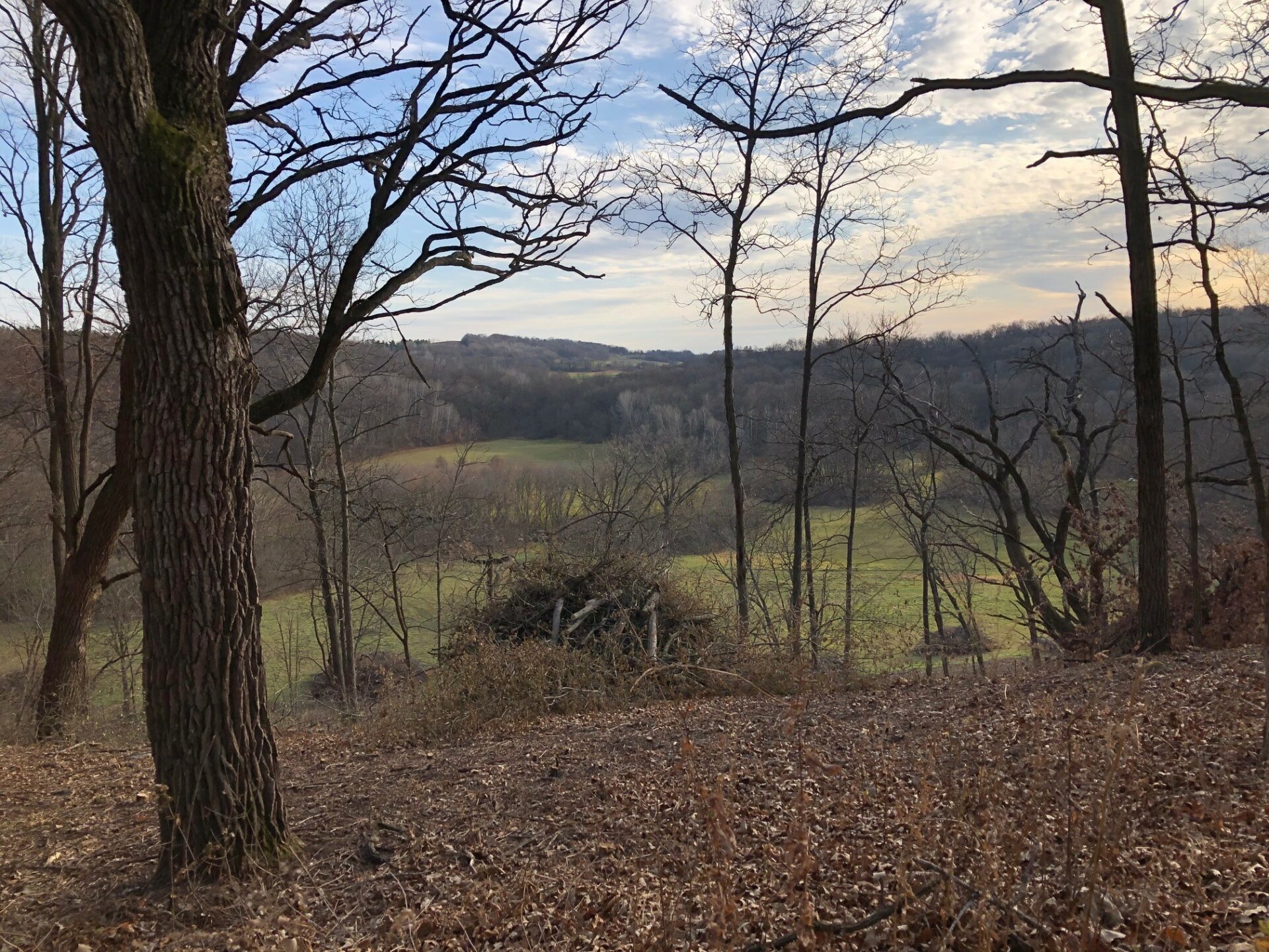 Moira Indian Lake Hike | Wisconsin Sea Grant