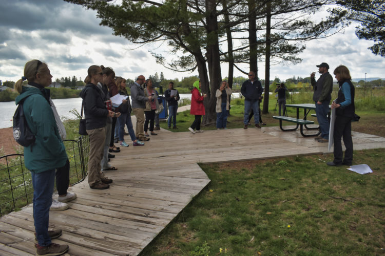 Environmental improvements to Barker’s Island progressing | Wisconsin ...
