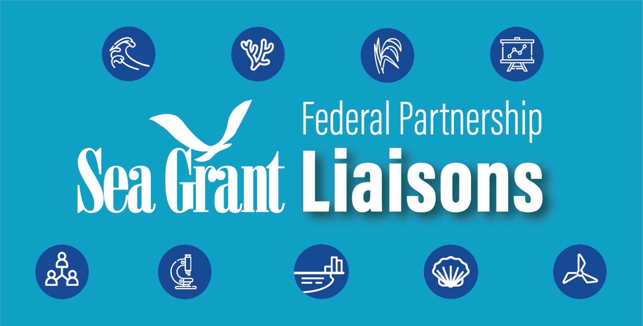 NOAA Sea Grant Liaisons address critical research areas across federal ...