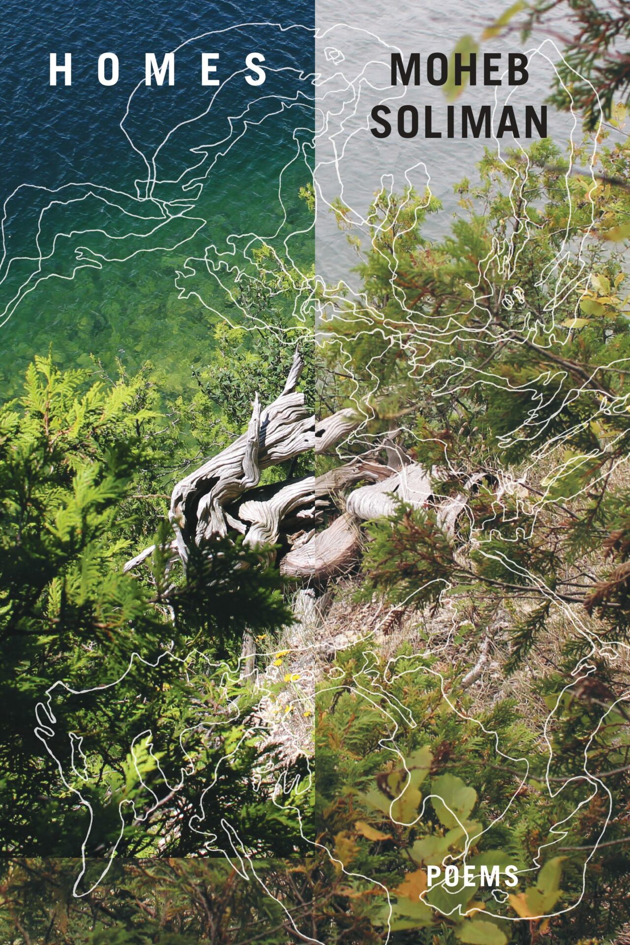 HOMES cover small | Wisconsin Sea Grant