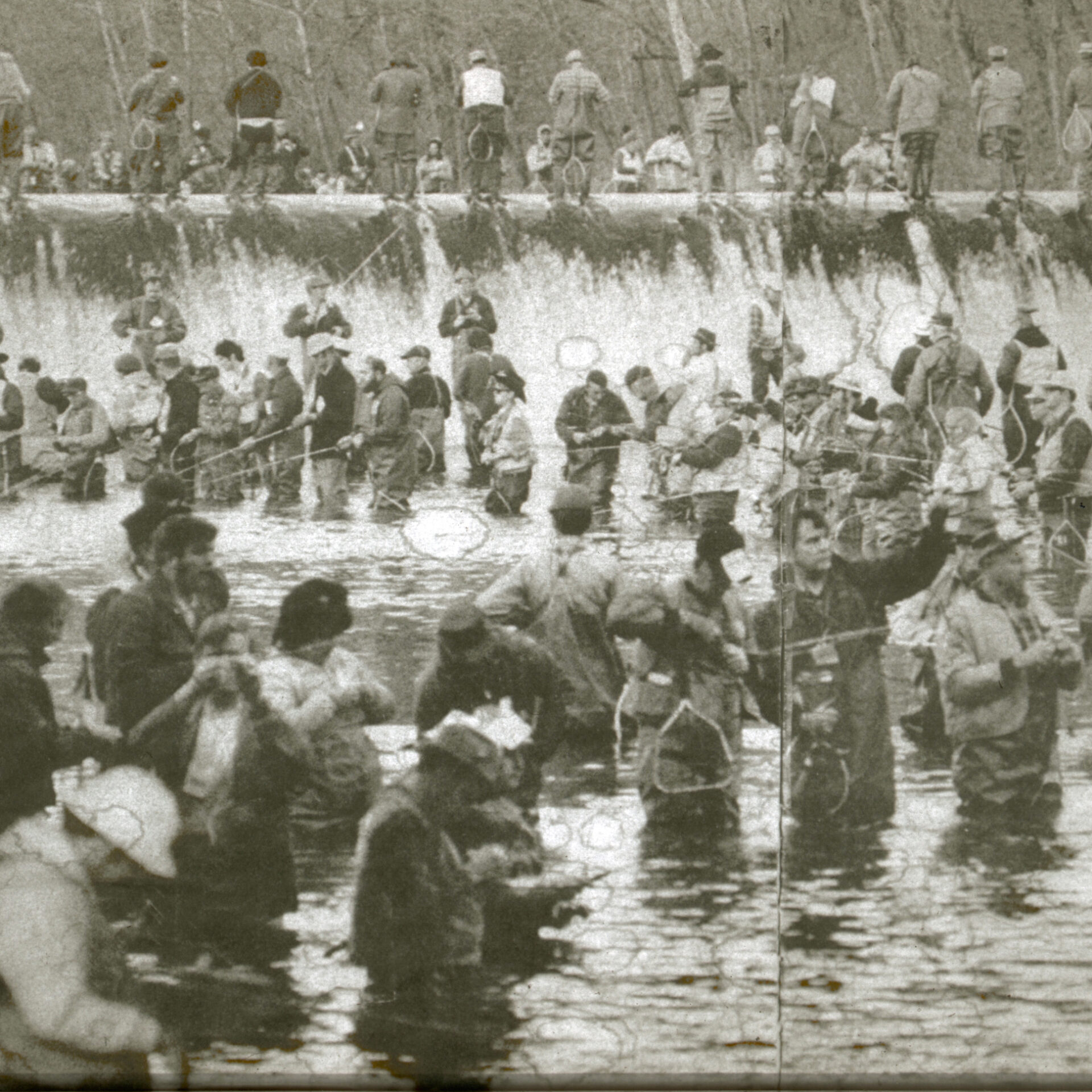 A borrowed fish | Wisconsin Sea Grant