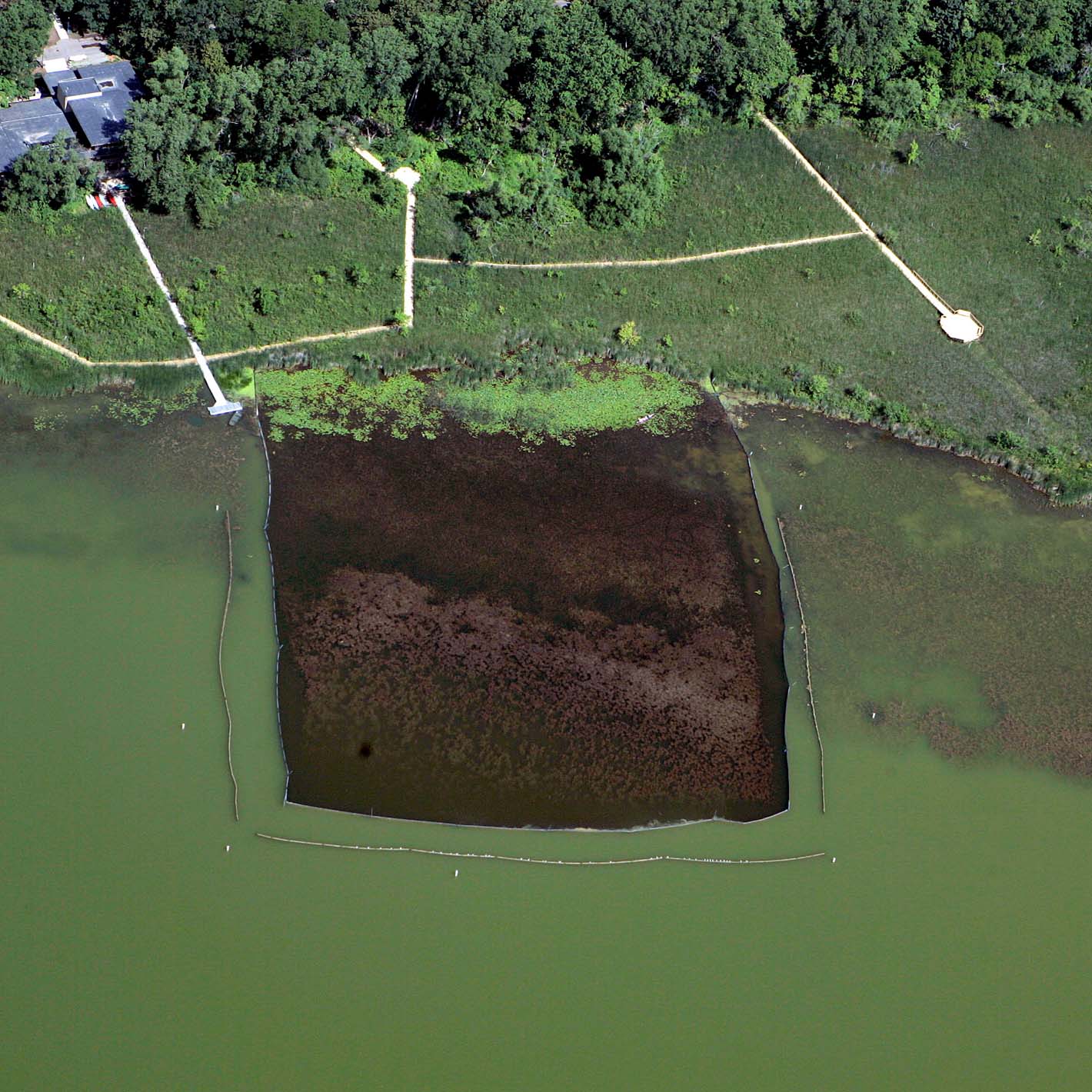 experimental-carp-enclosure | Wisconsin Sea Grant