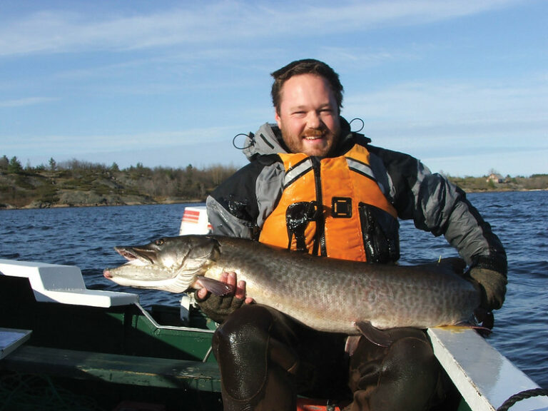 The ever-changing ecosystems of the Great Lakes | Wisconsin Sea Grant