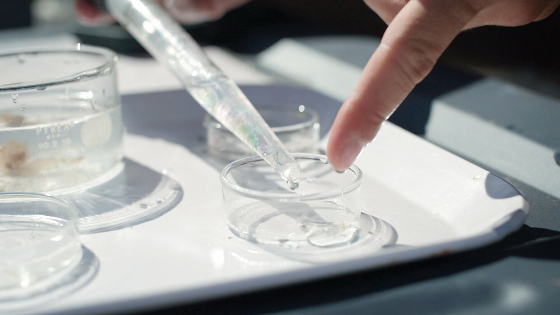 Water science is the focus of a new undergraduate research program ...