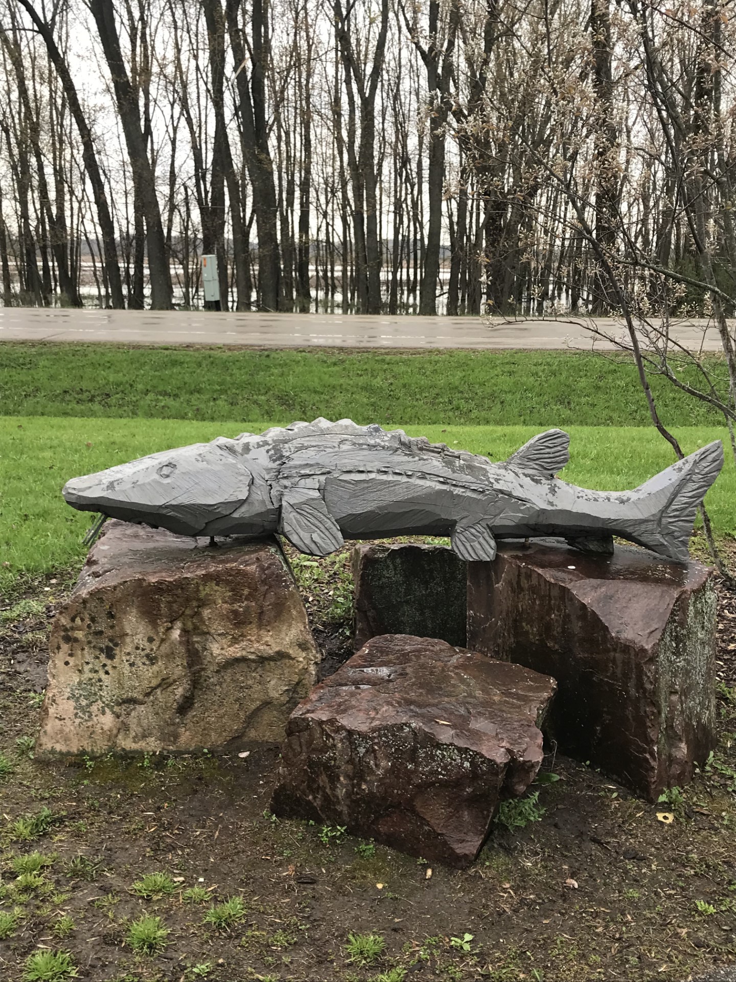 Predicting the sturgeon spawn | Wisconsin Sea Grant