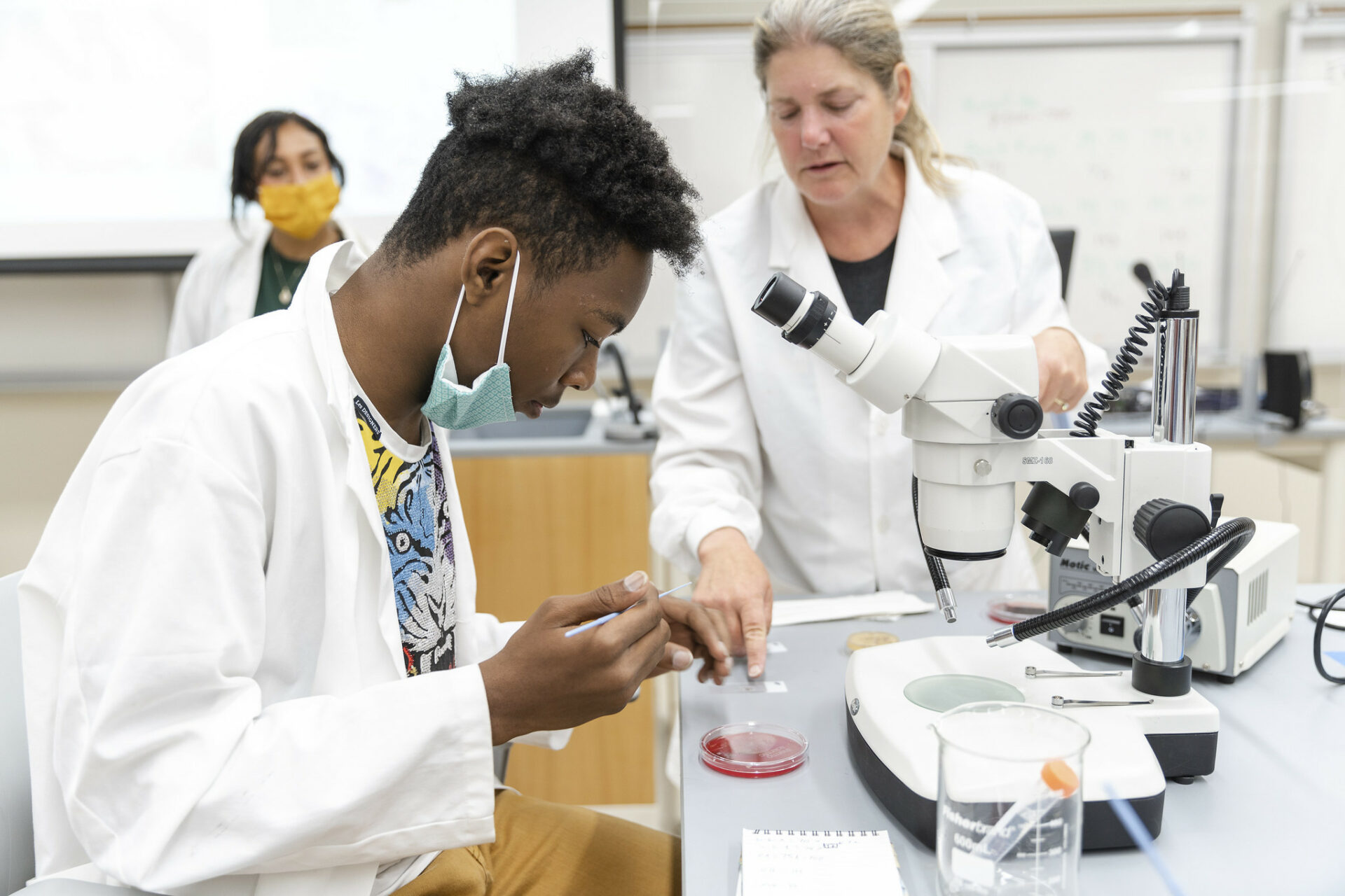 Persistent Pollution: Researchers Investigate the key to E. coli ...