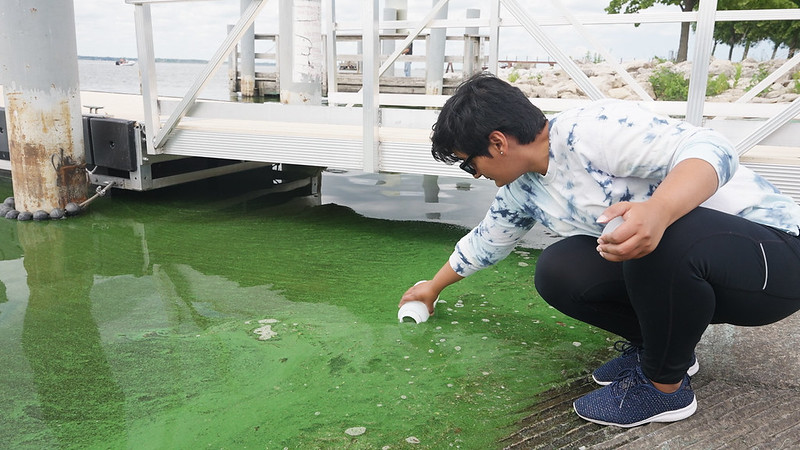 Aug. 31 event and livestream to explore phosphorus in aquatic ...