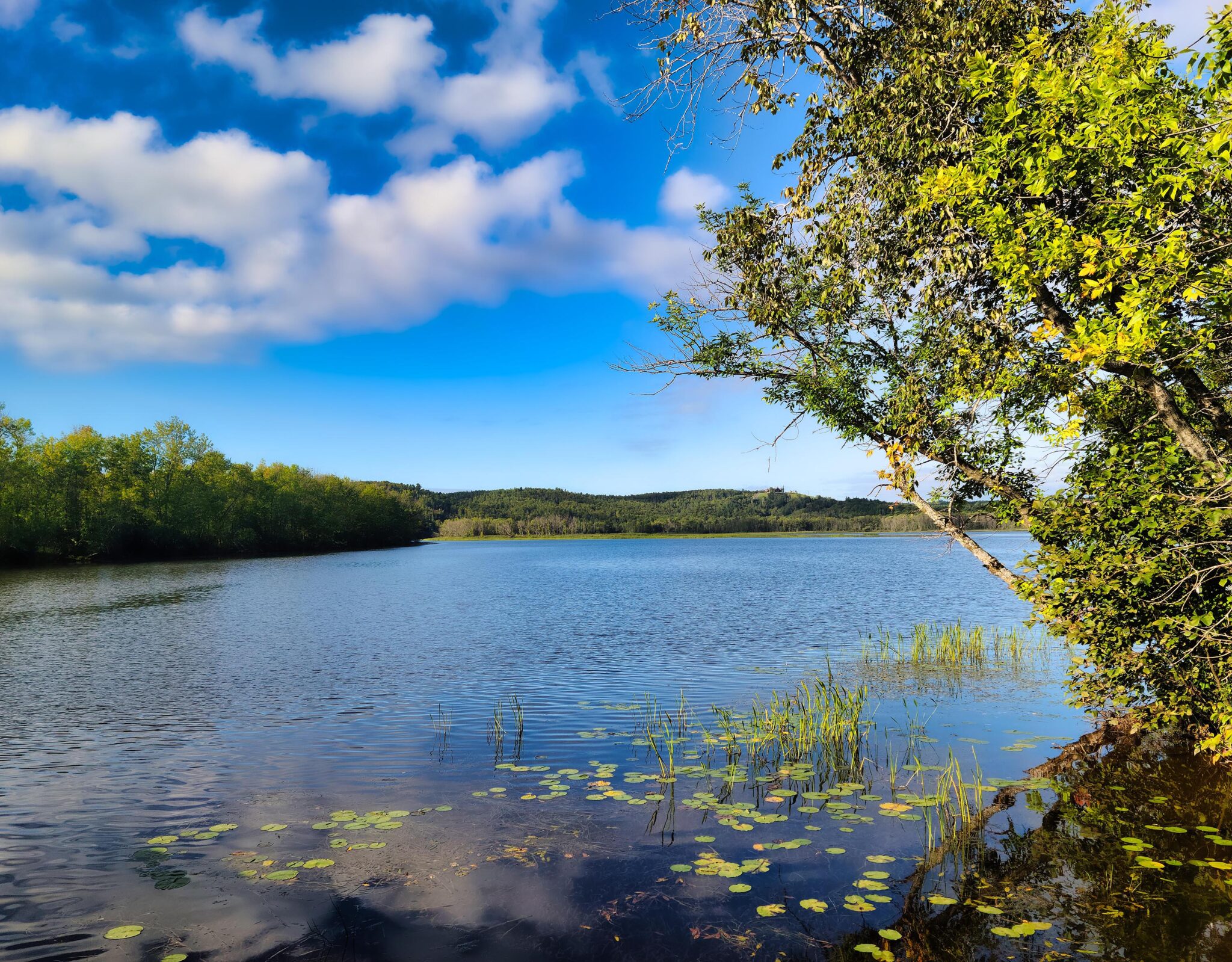 Wild ricing in the St. Louis River Estuary: An immersive experience ...