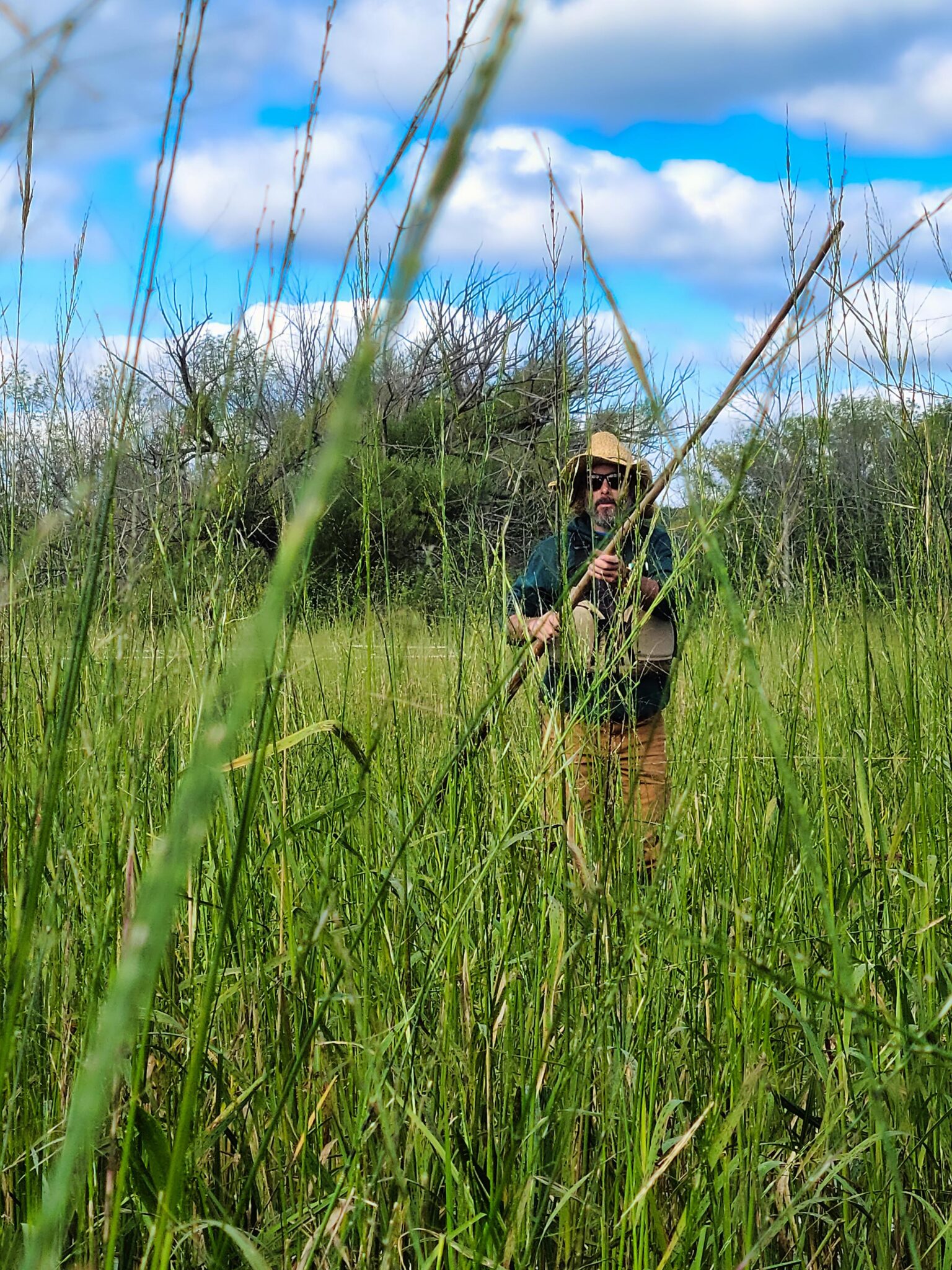Wild ricing in the St. Louis River Estuary: An immersive experience ...