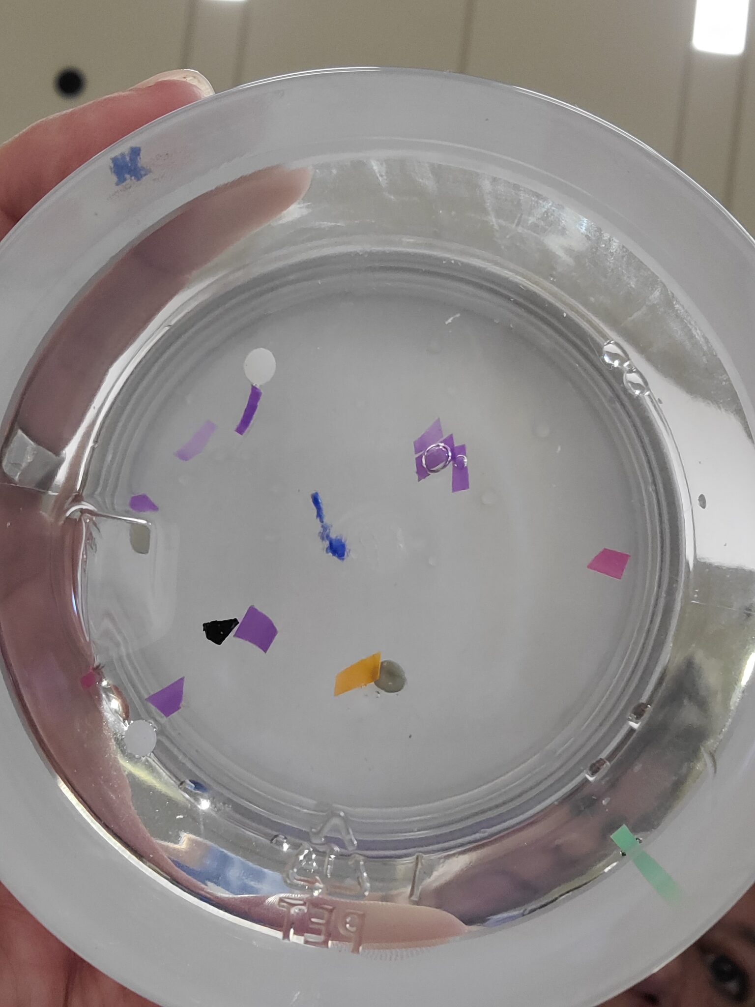 Plastics learning kit educates and enthralls | Wisconsin Sea Grant