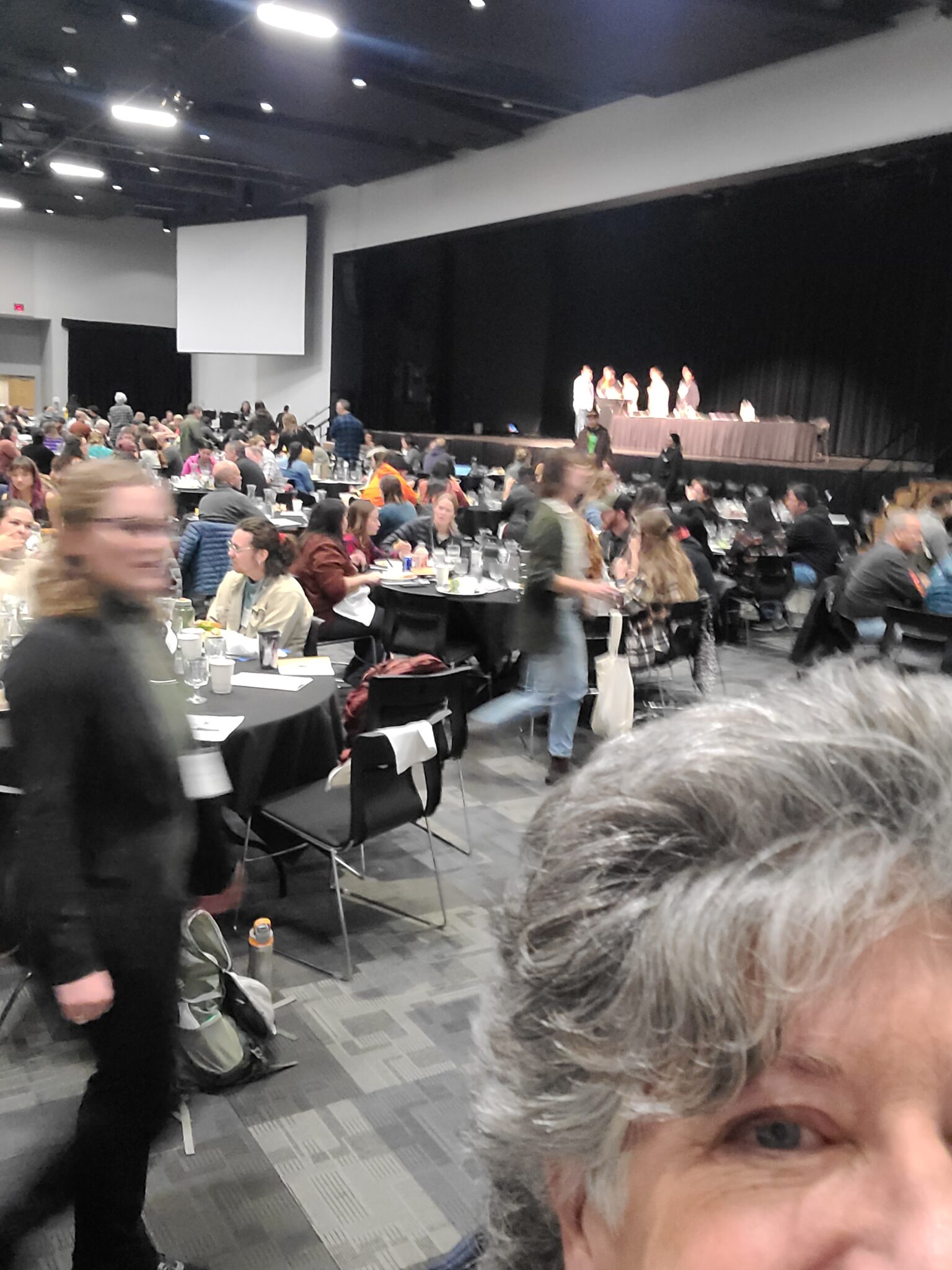 Lessons in wild ricing and wild rice lake restoration | Wisconsin Sea Grant