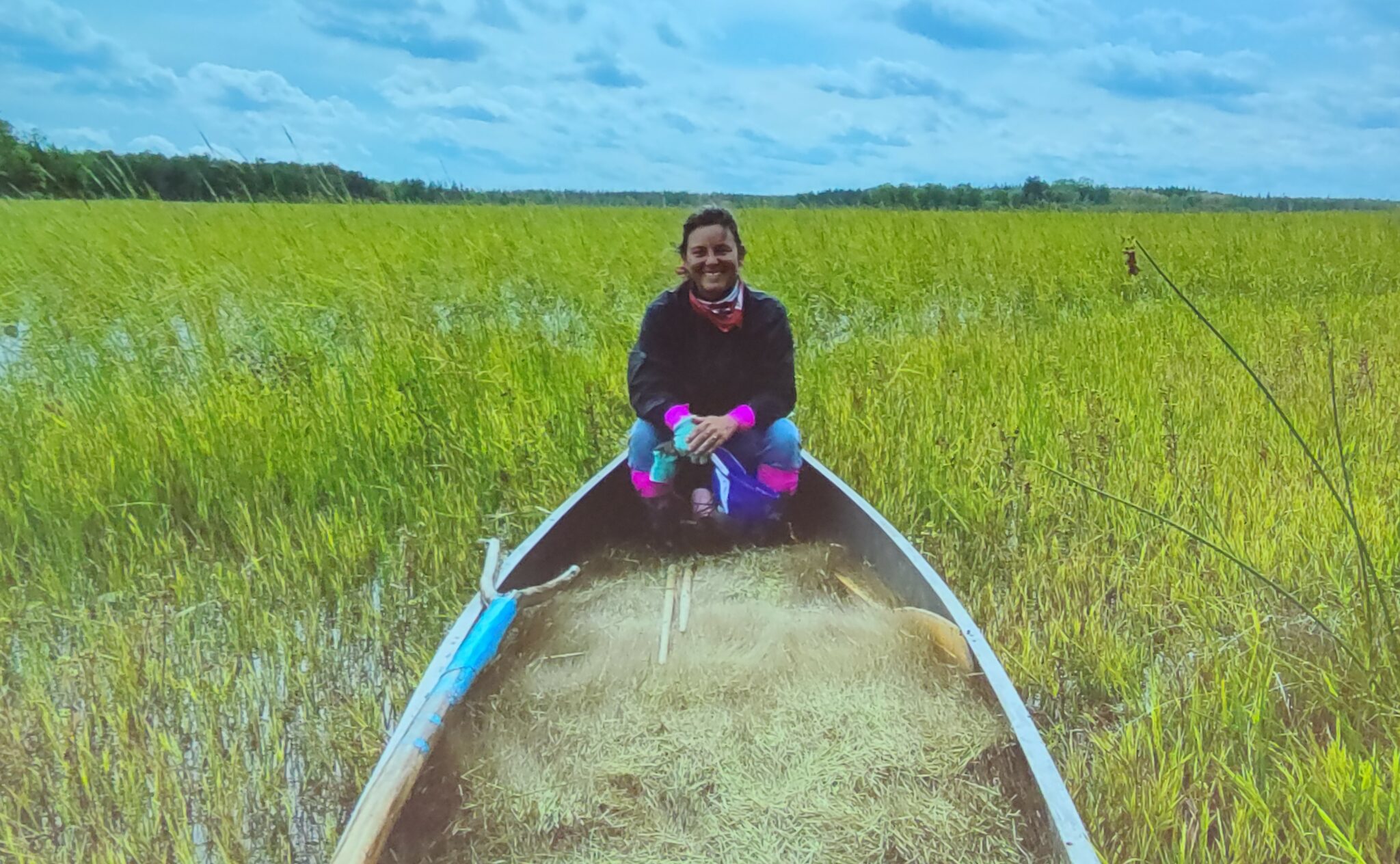 Lessons in wild ricing and wild rice lake restoration | Wisconsin Sea Grant