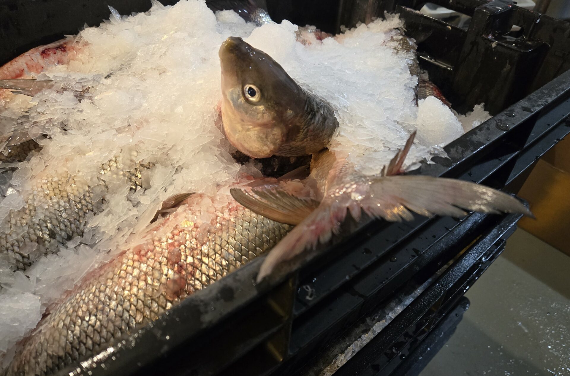 20240730_103528 | Wisconsin Sea Grant